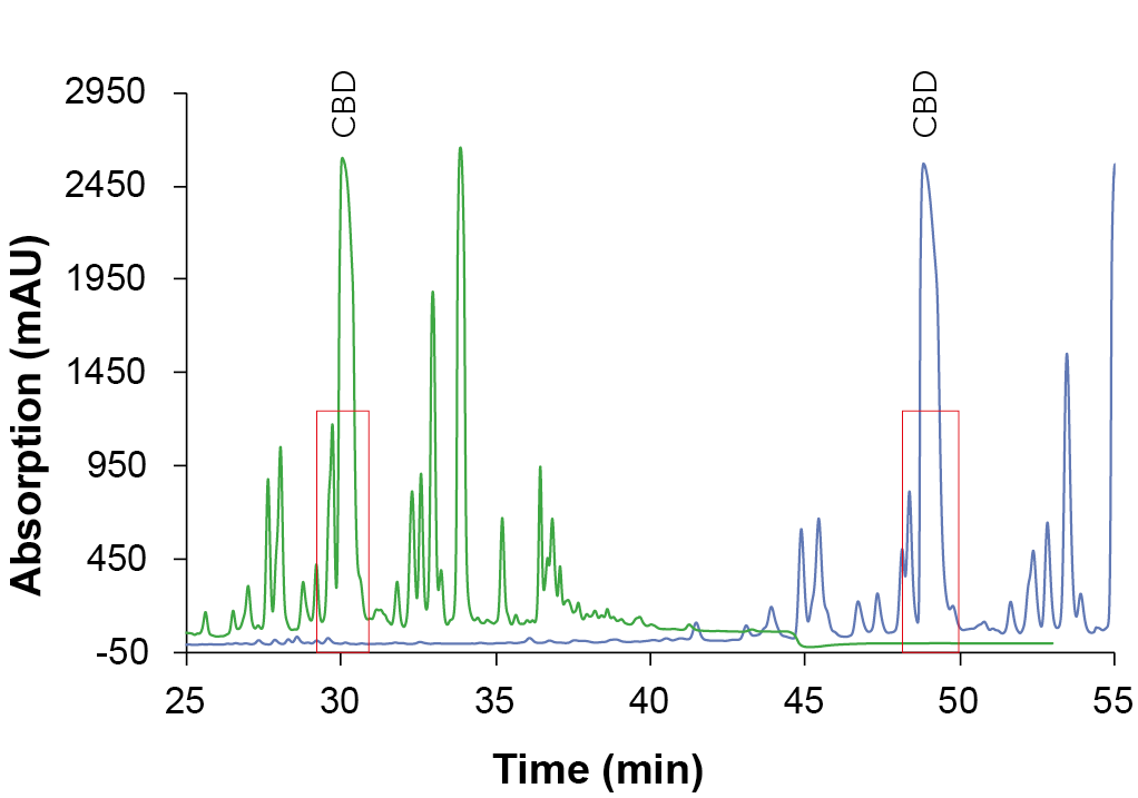 CBD Purification via HPLC: Method Development & Scale-Up