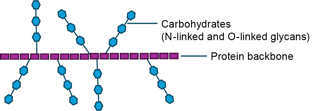 Fast Mucin Protein Analysis with AZURA® SEC System