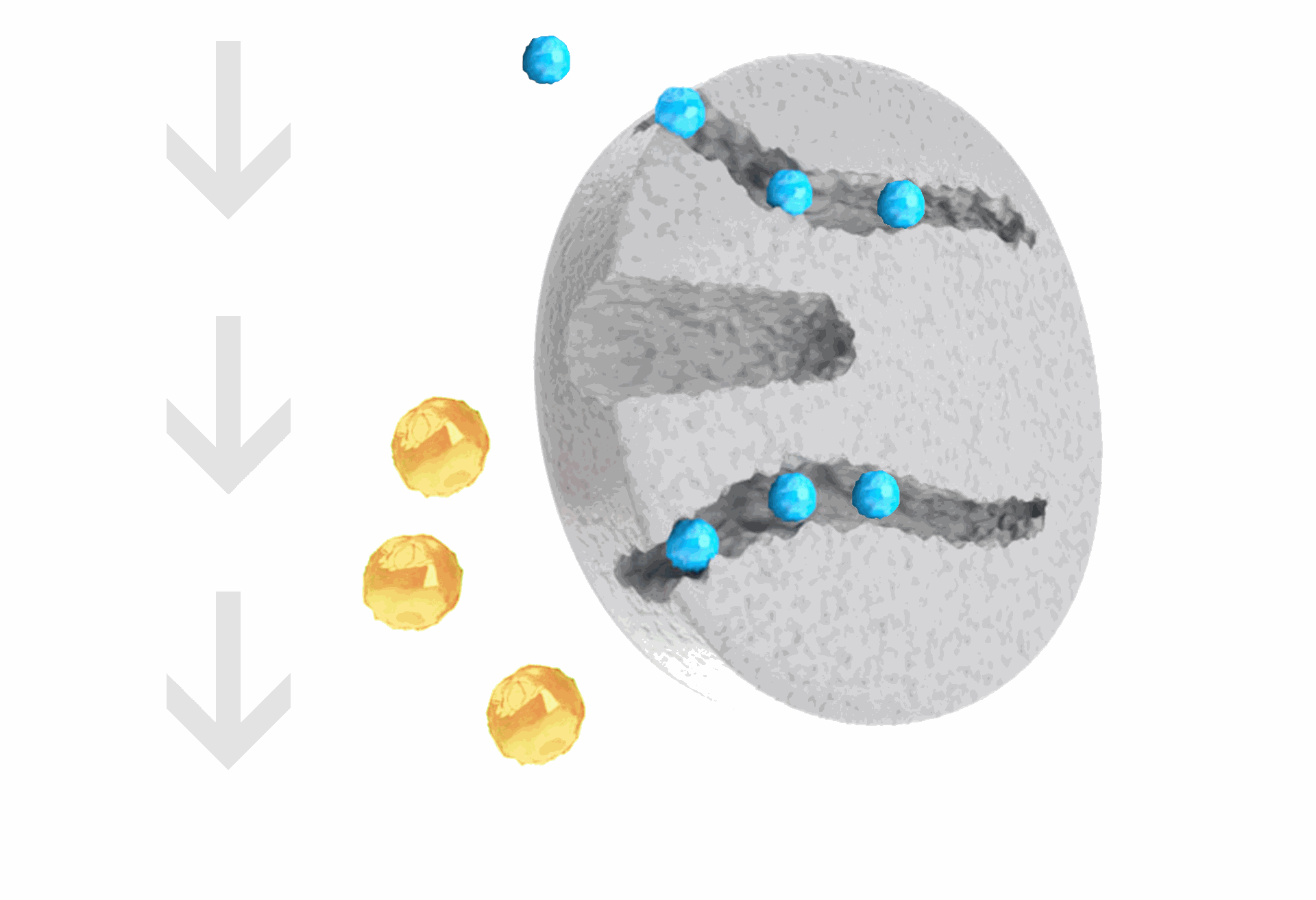 GPC/SEC Columns – High-Precision Size Exclusion Chromatography